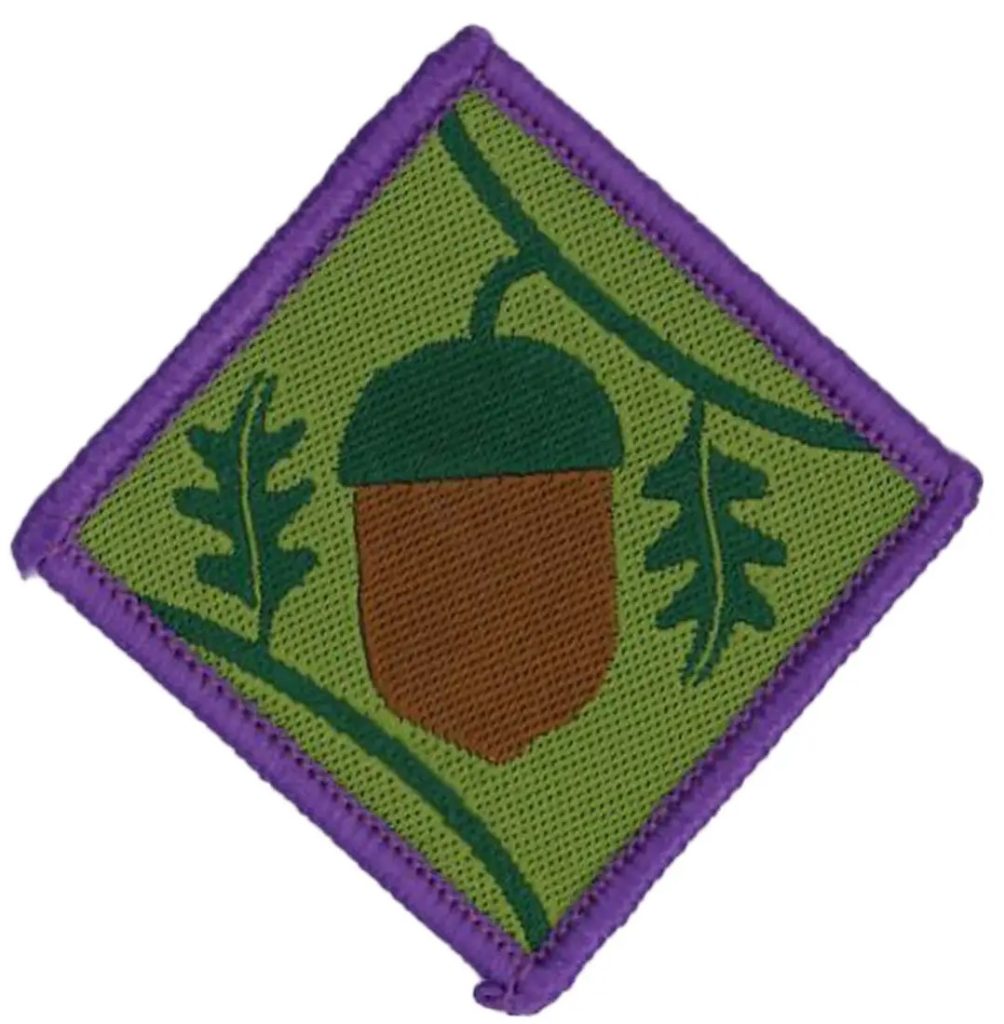 Young Leaders Team – Horsham District Scouts